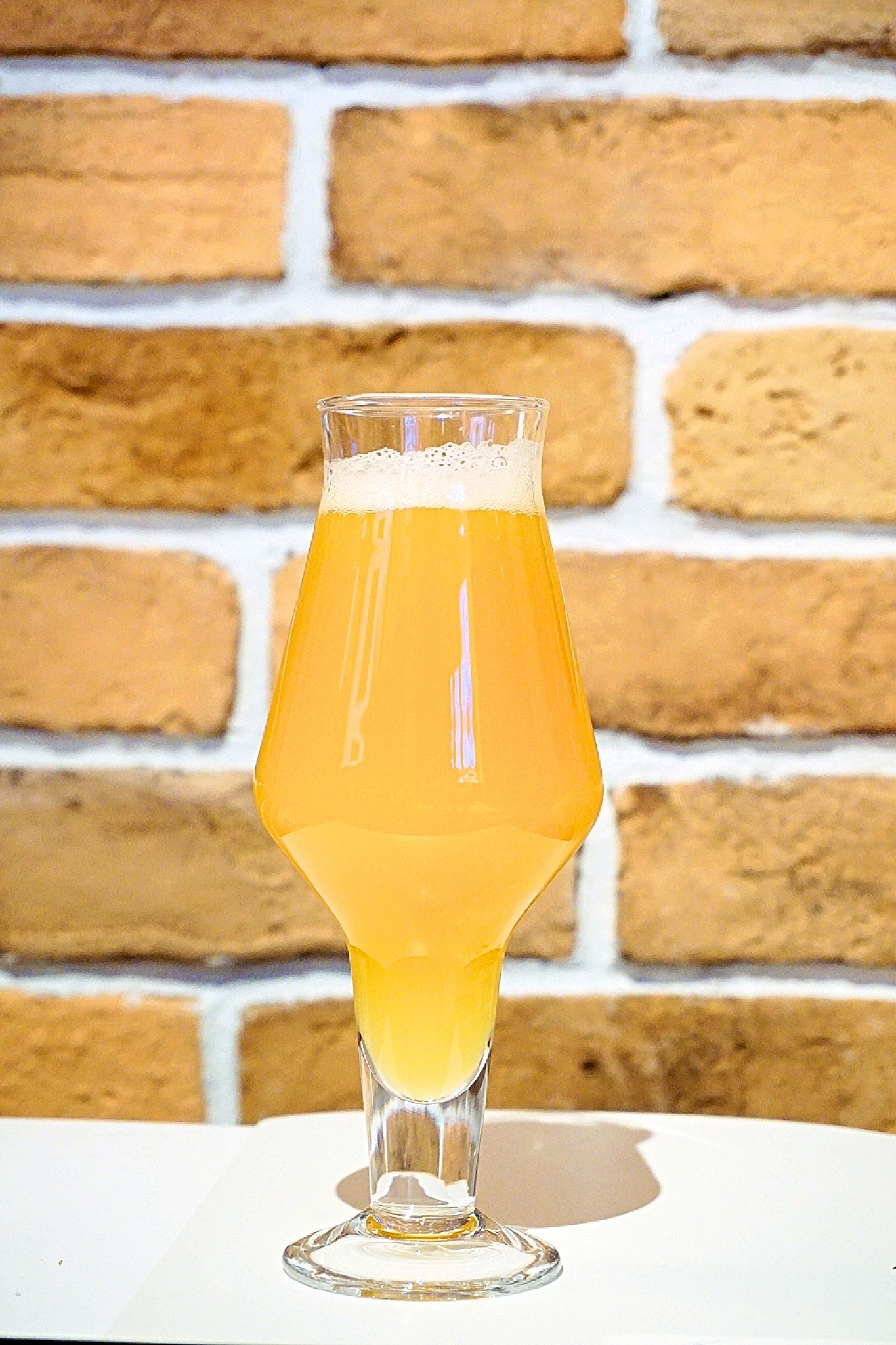 Frela, czyli Polak potrafi - Piwny Świr